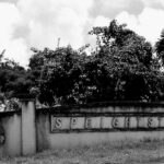 Walking Tour of Speightstown and its Museum - The Forgotten Town - What Makes This Tour Stand Out?