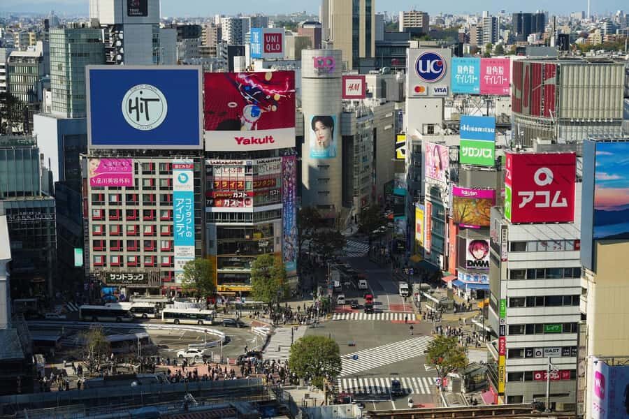 Walking tour to perceive the Secret of Shibuya's origin - Practical Details and Value