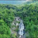 Wanning: Walking Tour in Xinglong Triangle Rainforest - Final Thoughts