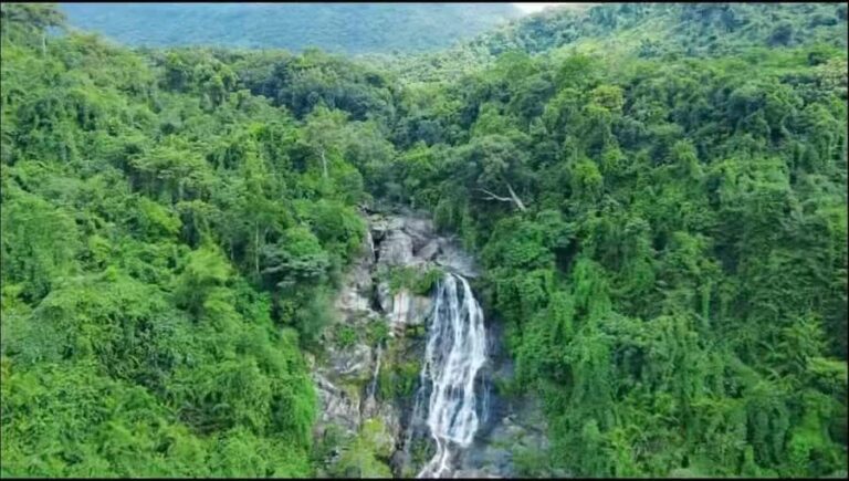 Wanning: Walking Tour in Xinglong Triangle Rainforest - Final Thoughts