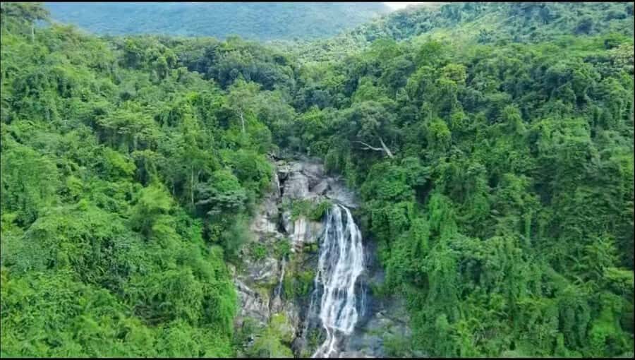 Wanning: Walking Tour in Xinglong Triangle Rainforest - Final Thoughts