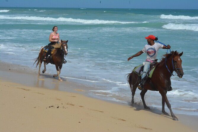 Want to Learn to Gallop at Bavaro Punta Cana Beach! - What Makes This Tour Stand Out?