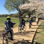 Washington DC: Cherry Blossom Festival Tour by Bike - Who Will Love This Tour?
