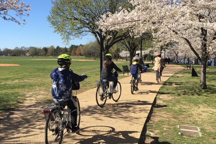 Washington DC: Cherry Blossom Festival Tour by Bike - Who Will Love This Tour?
