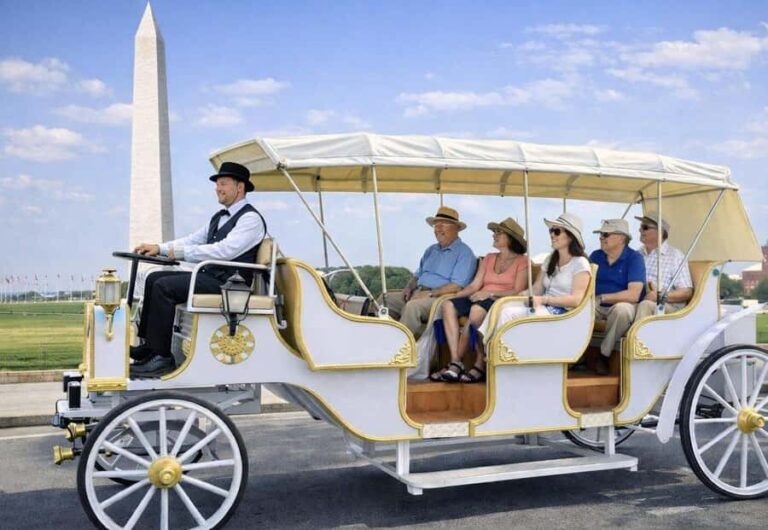 Washington DC Monuments Guided Carriage Tour - Who Should Consider This Tour?