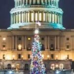 Washington, DC: National Christmas Tree & Holiday Lights Bus Tour - Practicalities and What to Expect