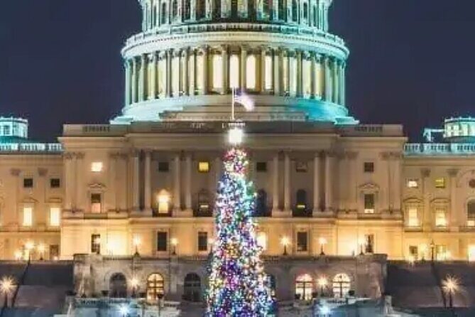 Washington, DC: National Christmas Tree & Holiday Lights Bus Tour - Practicalities and What to Expect
