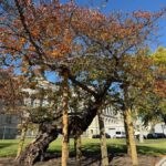 Washington, DC: Women's Advocacy Walking Tour - The Itinerary: What Makes Each Stop Special?