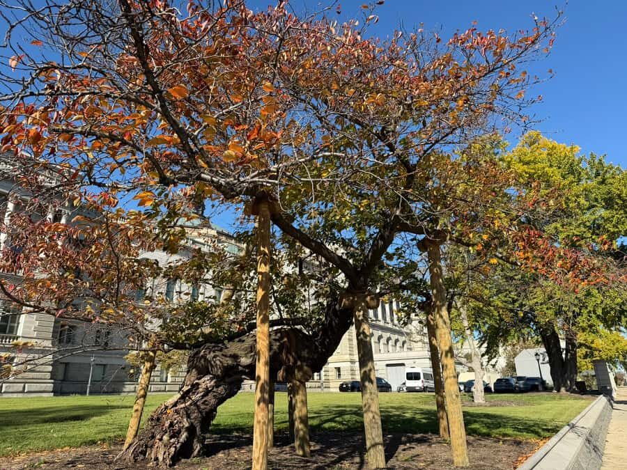 Washington, DC: Women's Advocacy Walking Tour - The Itinerary: What Makes Each Stop Special?