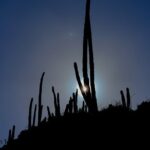 Washington Park Tour with Local Guide on Bonaire - Authentic Experiences from Other Travelers