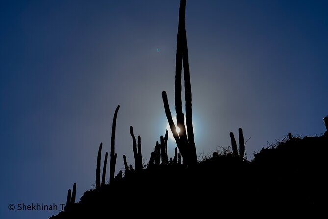Washington Park Tour with Local Guide on Bonaire - Authentic Experiences from Other Travelers