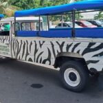 Waterfall and Beach Safari in Santa Lucia - The Practicalities: What’s Included and What to Expect