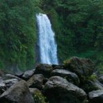 Waterfall And Champagne Reef Adventure - Who Will Enjoy This Tour?