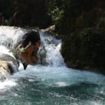 WATERFALL- Blue Hole Waterfall Adventure Swim and Rope Swing - The Itinerary in Detail