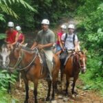 Waterfall El Limón and Cayo Levantado Island from Bayahibe - What Travelers Can Expect and Common Feedback
