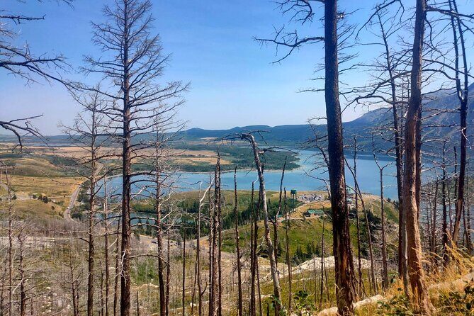 Waterton National Park Adventure Day tour from Calgary - The Itinerary: What Youll Experience