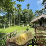 Wayanad: 2-Day Forest and Tribal Experience with Meals - An Honest Look at the 2-Day Forest & Tribal Tour