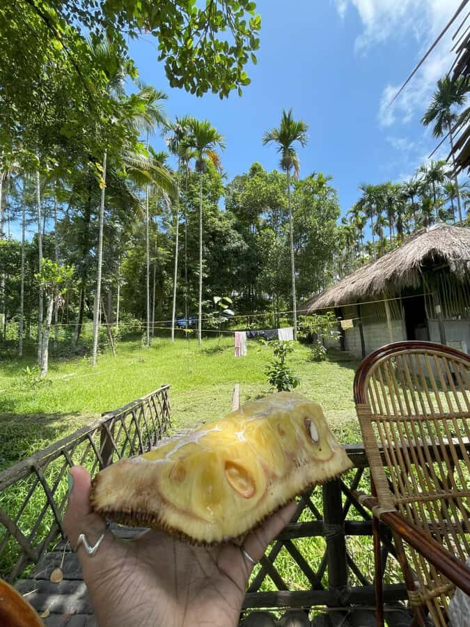 Wayanad: 2-Day Forest and Tribal Experience with Meals - An Honest Look at the 2-Day Forest & Tribal Tour