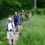 Welcome To Camping At Algonquin Park (2 Day) - Who Will Love This Tour?