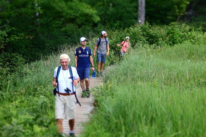 Welcome To Camping At Algonquin Park (2 Day) - Who Will Love This Tour?