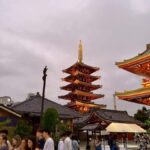 Welcome to Tokyo: A Gentle First Journey by Private Car - Practical Details and What Travelers Say