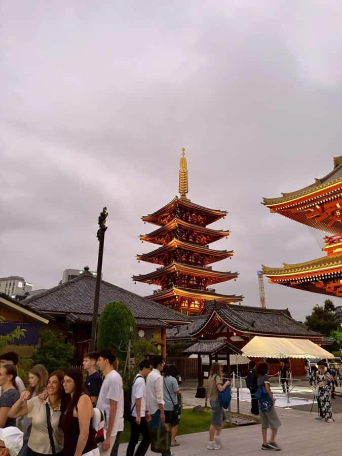 Welcome to Tokyo: A Gentle First Journey by Private Car - Practical Details and What Travelers Say