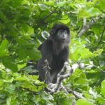 West Bali: Jungle Trekking in Bali Barat National Park - Who Will Love This Tour?