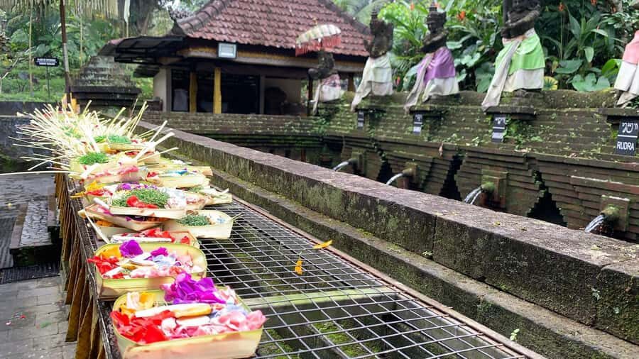 West Bali: Private Blessing Ceremony and Temple Tour - What travelers are saying