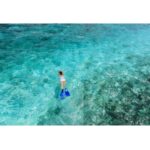 West End Bahamas: Guided Snorkeling Tour - Exploring the Itinerary in Detail