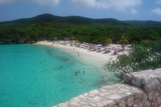 Western snorkel & swim Trip - The Experience in Detail