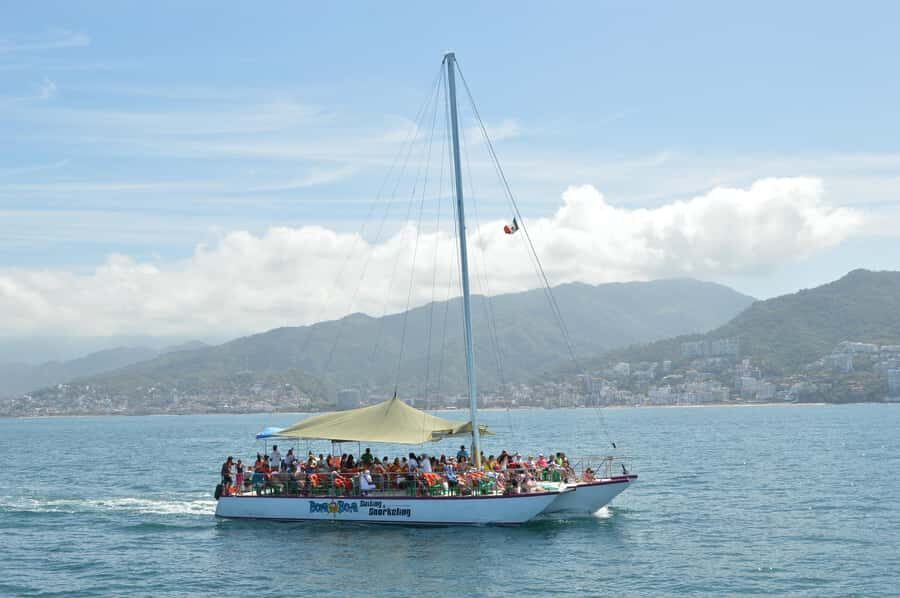 Whale Tour in Puerto Vallarta by Speedboat or Catamaran - How to Get the Most Value