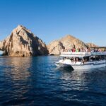 Whale Watching a Majestic Cabo Experience - Who Will Love This Tour?