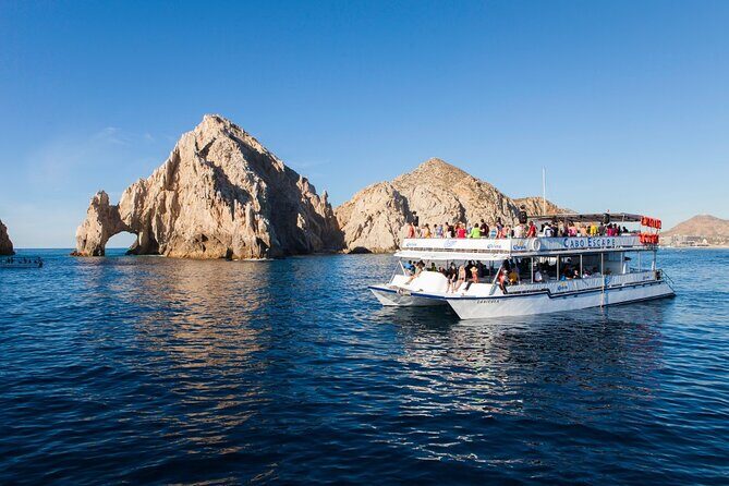 Whale Watching a Majestic Cabo Experience - Who Will Love This Tour?