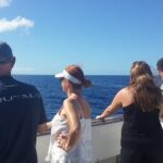 Whale Watching and Dolphin Spotting Cruise - Analyzing the Value