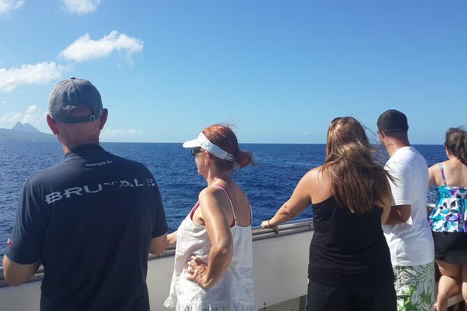 Whale Watching and Dolphin Spotting Cruise - Analyzing the Value