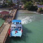 Whale watching and Montana Redonda - Why This Tour Offers Good Value