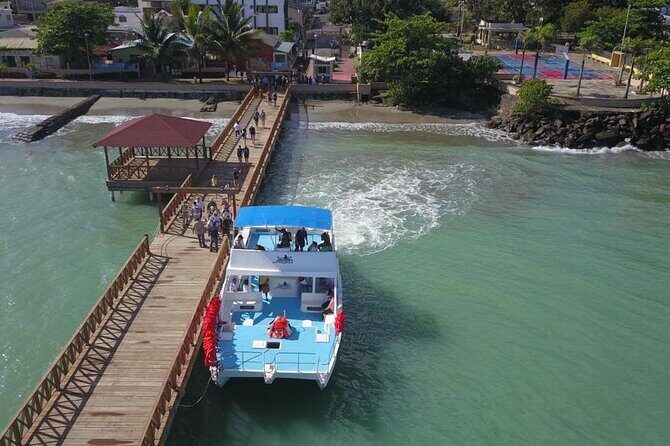 Whale watching and Montana Redonda - Why This Tour Offers Good Value