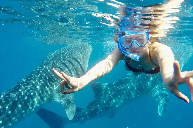 Whale Watching in Sumilon Island with Ocean View Resort and Lunch - Authenticity and Experience Highlighted in Reviews