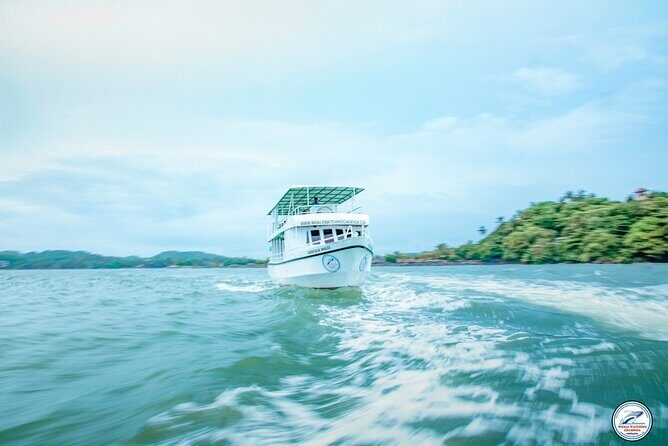 Whale Watching Mirissa in Sri Lanka with Pickup and Breakfast - Why This Tour Stands Out