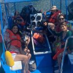 Whale Watching on a Glass Bottom Boat - Authentic Experiences & What Makes It Stand Out