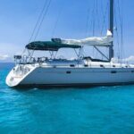 Whale Watching Sailboat Tour in San Jose del Cabo - What Real Travelers Say