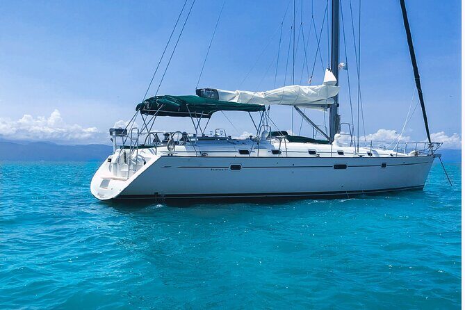 Whale Watching Sailboat Tour in San Jose del Cabo - What Real Travelers Say