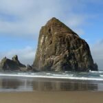 Whale Watching Tour to Depoe Bay, Cannon Beach & Tillamook - Practical Aspects and What to Expect