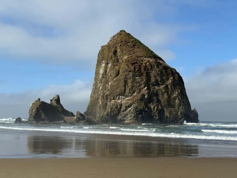 Whale Watching Tour to Depoe Bay, Cannon Beach & Tillamook - Practical Aspects and What to Expect