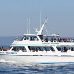 Whale Watching Winter - The Sum Up