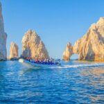 Whale Watching with Lunch and transportation included - What the Reviews Say