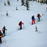 Whistler Backcountry Skiing and Splitboarding - What Makes This Tour Special?