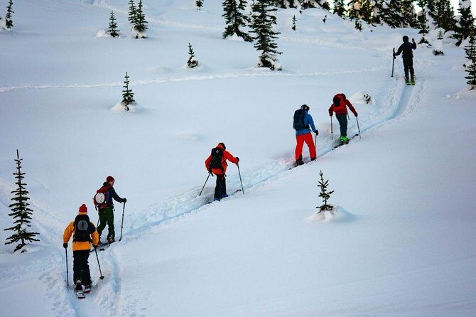 Whistler Backcountry Skiing and Splitboarding - What Makes This Tour Special?