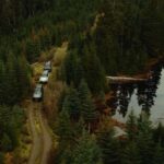 Whistler: Morning with the Bears Land Rover Scenic Excursion - The Realities of Wildlife Tours
