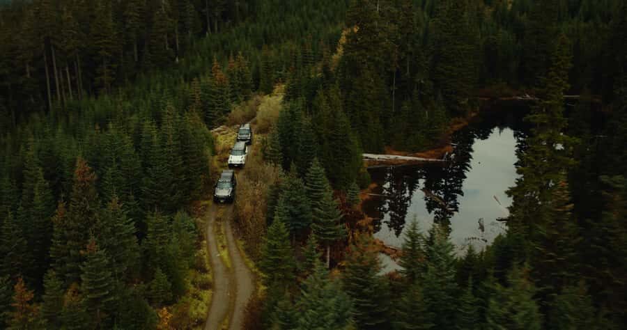 Whistler: Morning with the Bears Land Rover Scenic Excursion - The Realities of Wildlife Tours